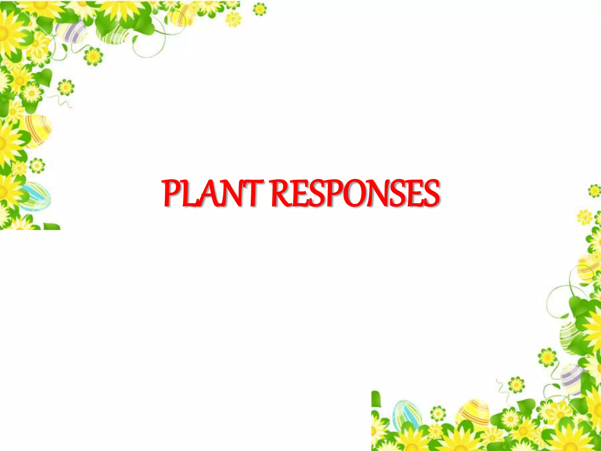 Plant responses | PPTX