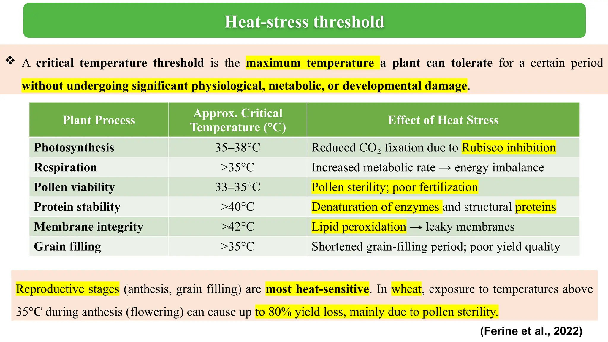 Plant Responses and Adaptive Mechanisms Under Heat Stress.pptx