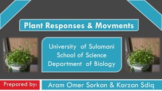 Plant responses and movements by aram omer sorkan | PDF
