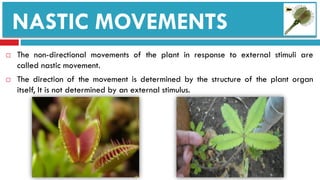 Plant responses and movements by aram omer sorkan | PDF
