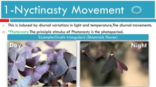 Plant responses and movements by aram omer sorkan | PDF