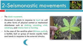 Plant responses and movements by aram omer sorkan | PDF