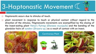 Plant responses and movements by aram omer sorkan | PDF