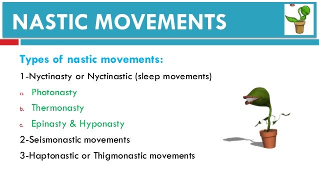 Plant responses and movements by aram omer sorkan