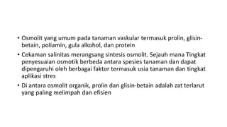 MATERI PLANT RESPONSES TO SALINITY .pptx