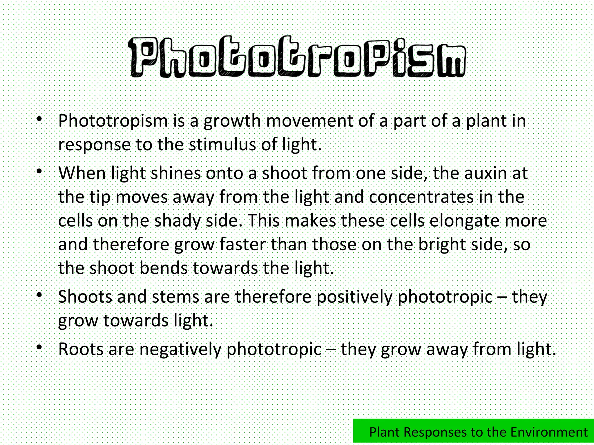 Plant responses to the environment | PPT