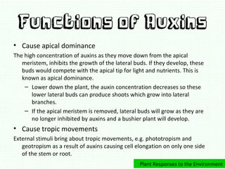 Plant responses to the environment | PPT