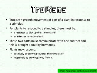 Plant responses to the environment | PPT