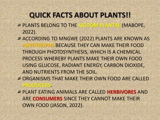 PLANT RESPONSES TO THE ENVIRONMENT.pptx