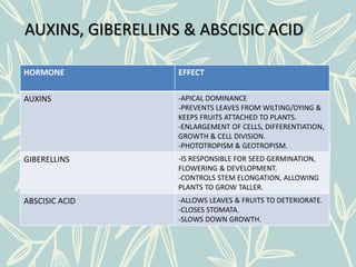 PLANT RESPONSES TO THE ENVIRONMENT.pptx