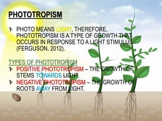 PLANT RESPONSES TO THE ENVIRONMENT.pptx