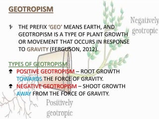 PLANT RESPONSES TO THE ENVIRONMENT.pptx