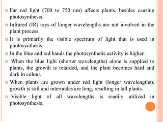 Plant response to green house environment | PDF