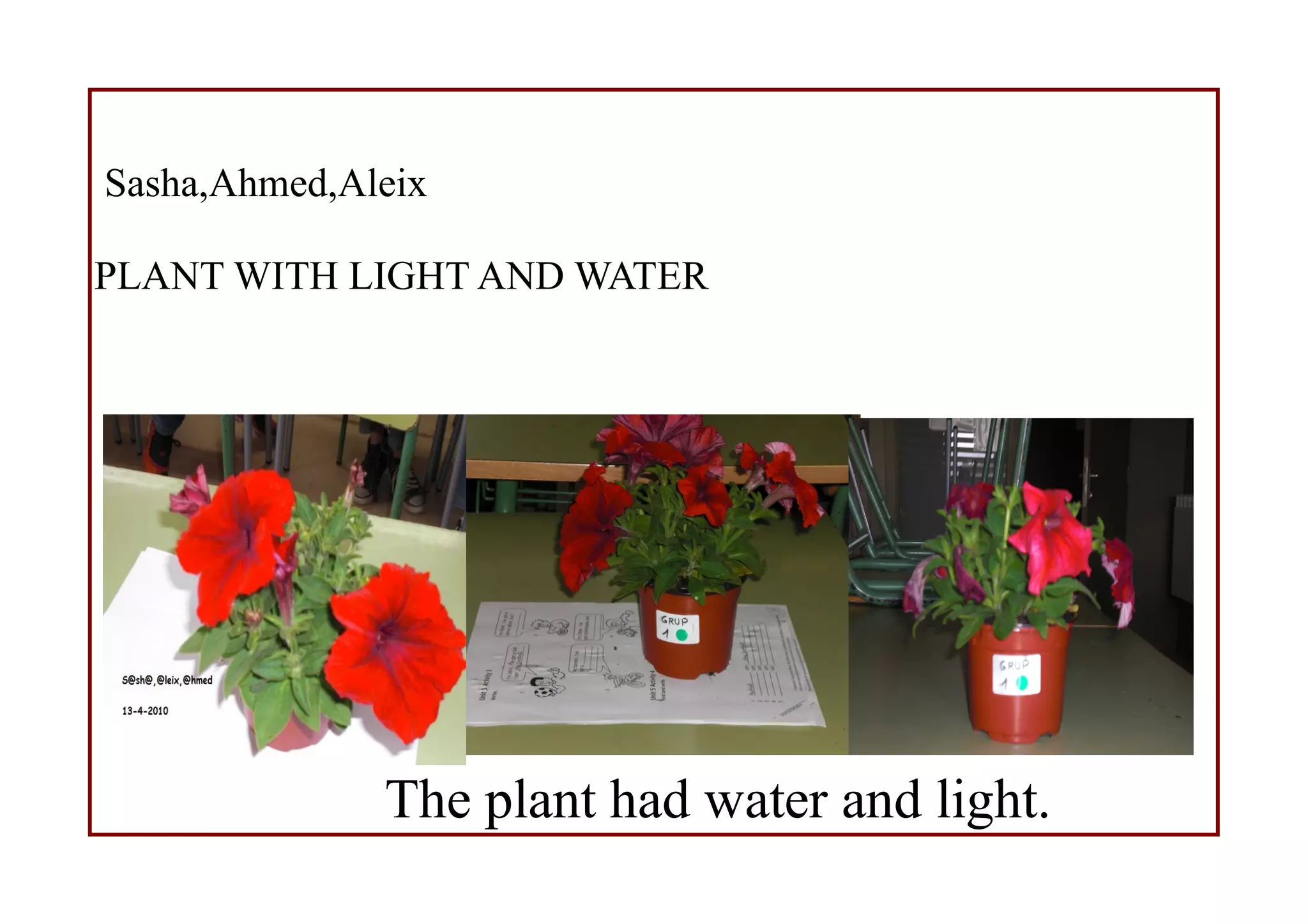 PLANTS (Year 5) | ODT