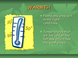 Plants | PPT