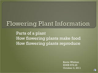 Plants | PPT