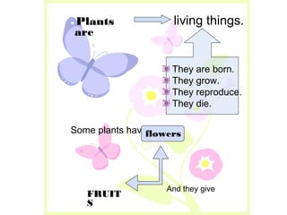 Plants | PPT