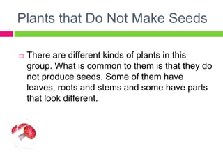 Plants | PPT
