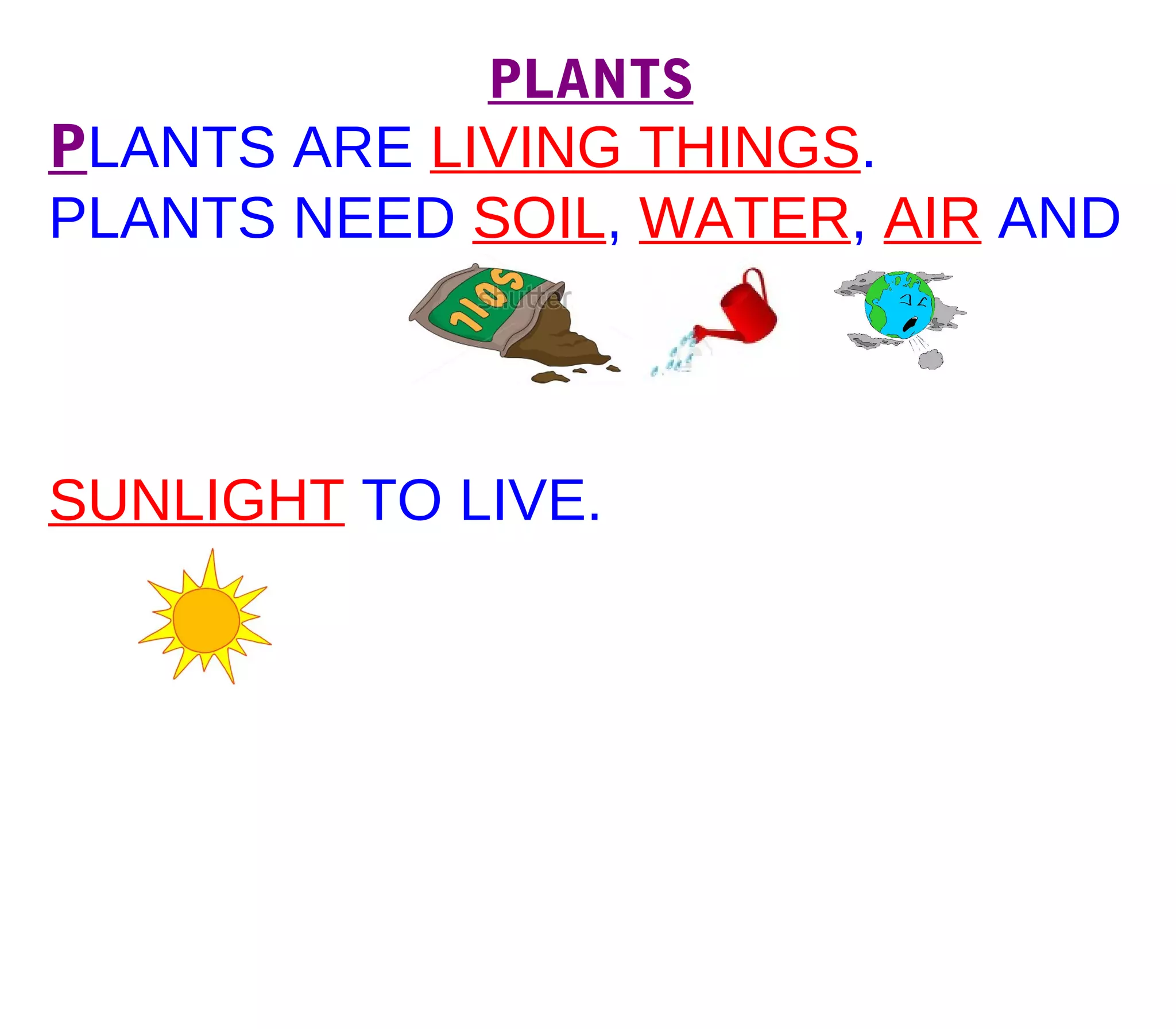 Plants | PPT