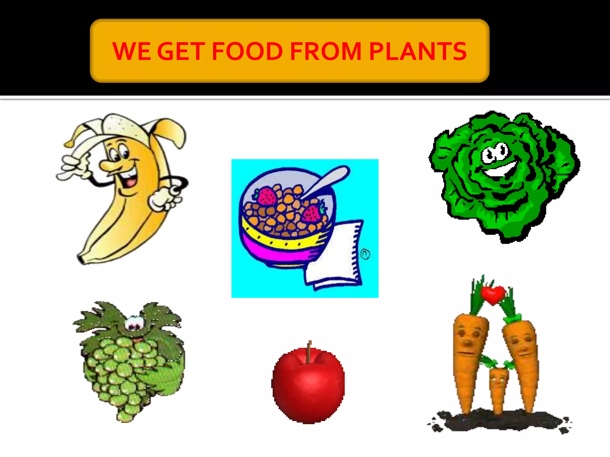 uses of Plants | PPTX