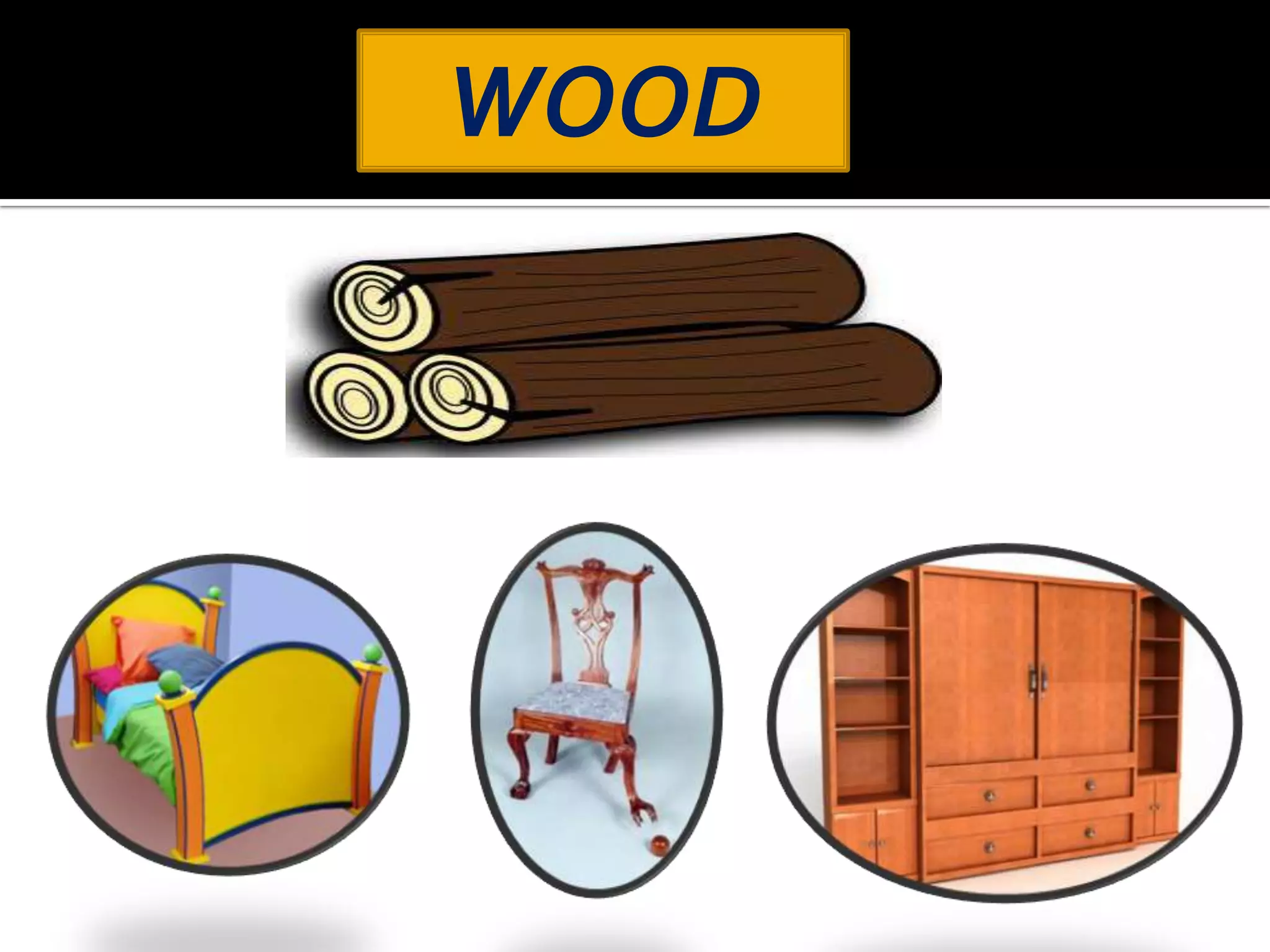 uses of Plants | PPTX