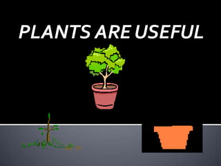 uses of Plants | PPTX