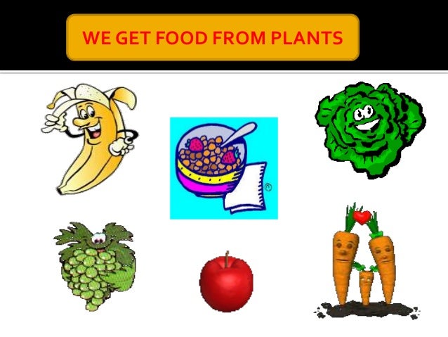 Foods That Come From Plants
