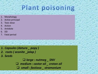 Plants | PDF