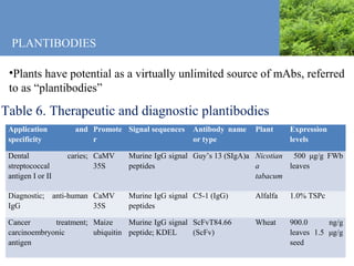 TRANSGENIC PLANTS AS SOLE SOURCE FOR BIOPHARMACEUTICALS | PPT