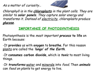 Plants: Parts, Photosynthesis, Reproduction REINO LA PUEBLA | PPT