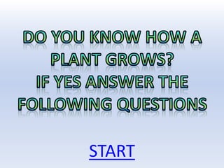 The amazing world of Plants | PPT