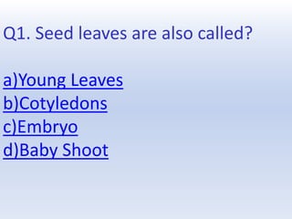 The amazing world of Plants | PPT