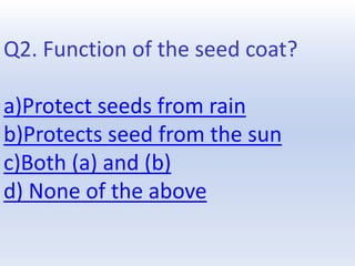 The amazing world of Plants | PPT