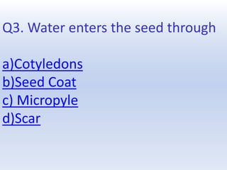 The amazing world of Plants | PPT