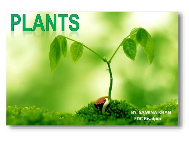 parts of plant | PPT