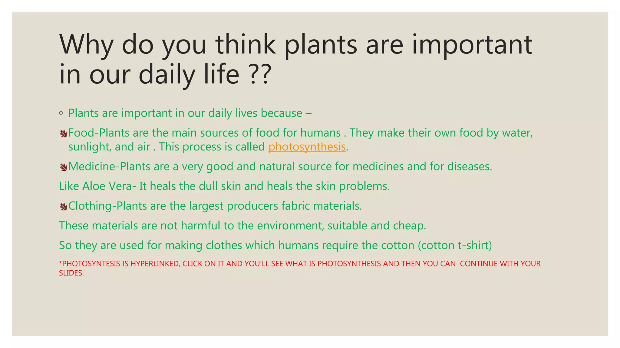 Plants | PPTX | Gardening | Home & Garden