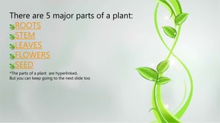 Plants | PPTX | Gardening | Home & Garden