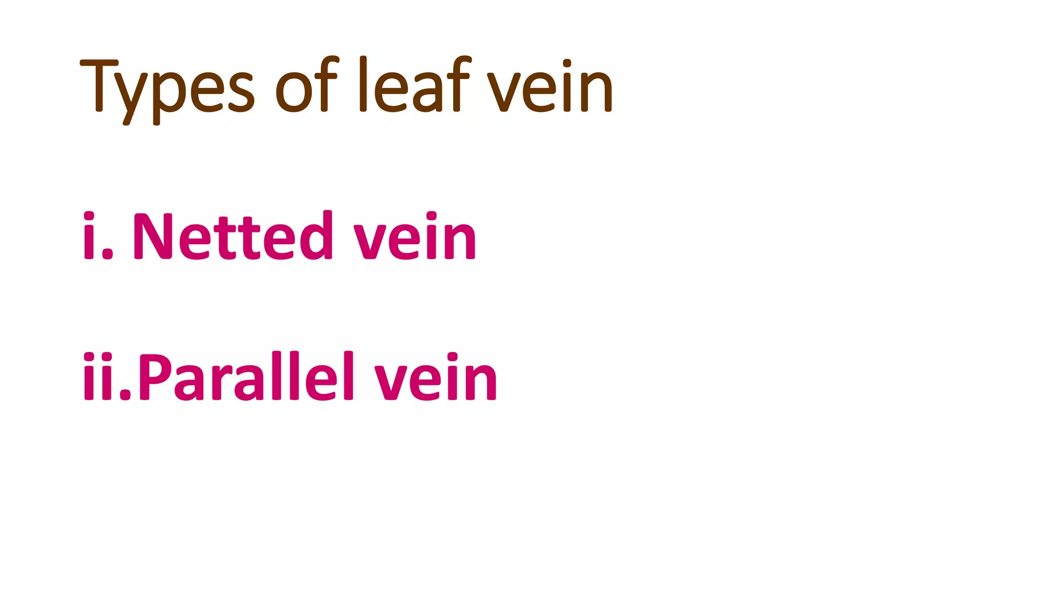 Parts of Plants | PPTX