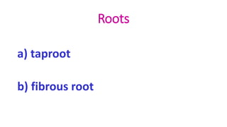 Parts of Plants | PPT