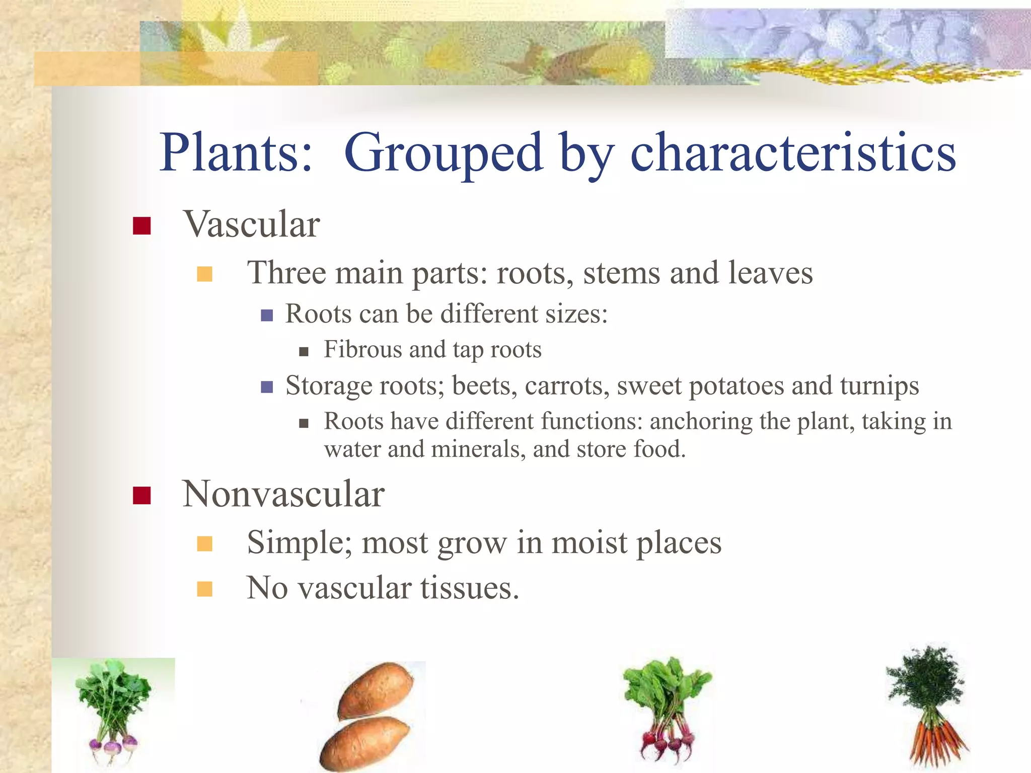 plants.ppt