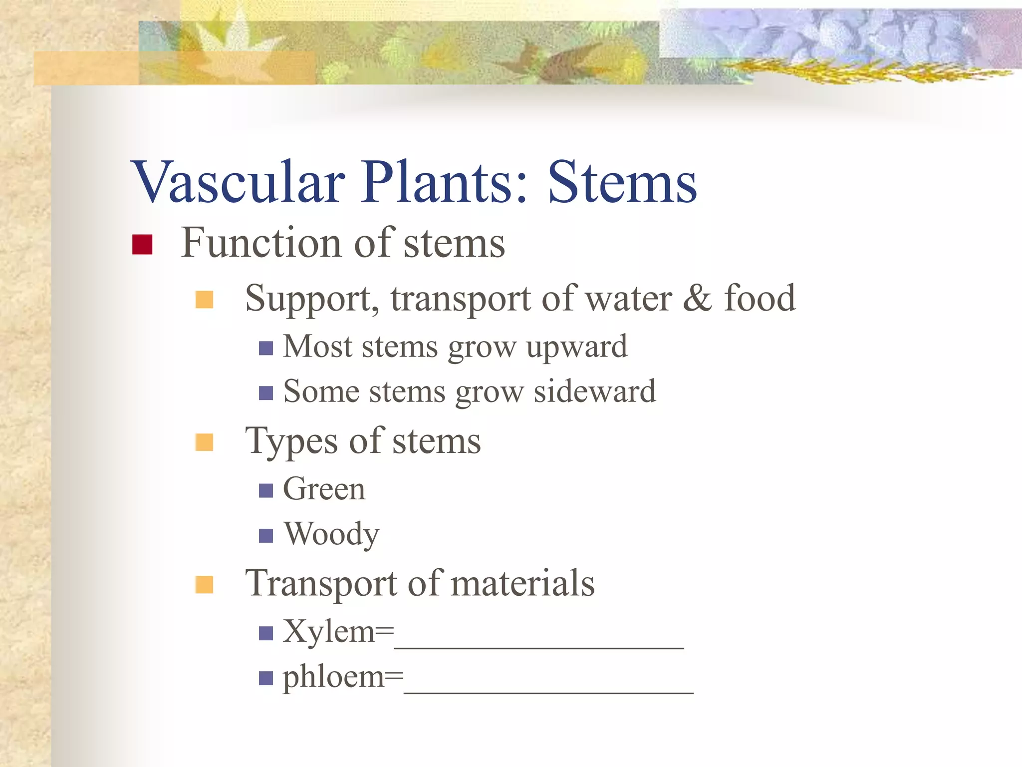 plants.ppt