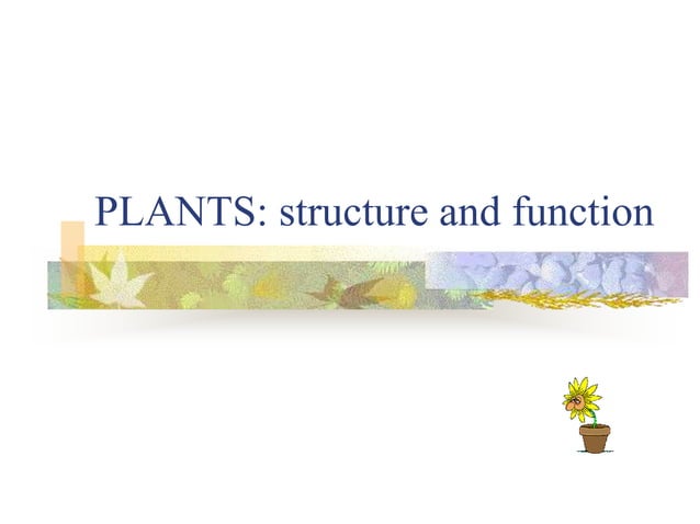 plants.ppt