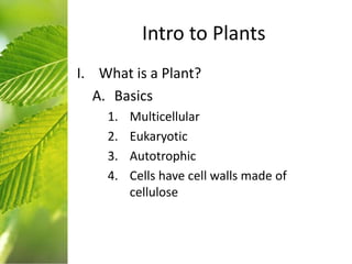 Chapter 22: Plant Diversity (Science 6). | PPTX