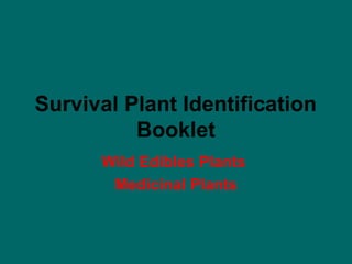 Survival of plant identification letest.ppt
