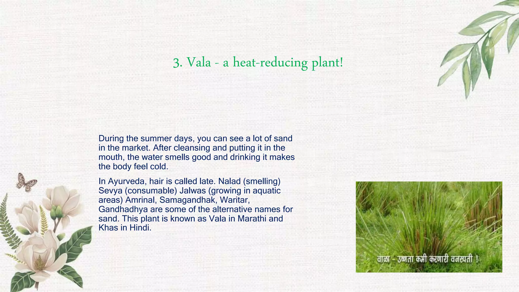 Plants a collaboration of art and nature - maharashtra today | PPTX