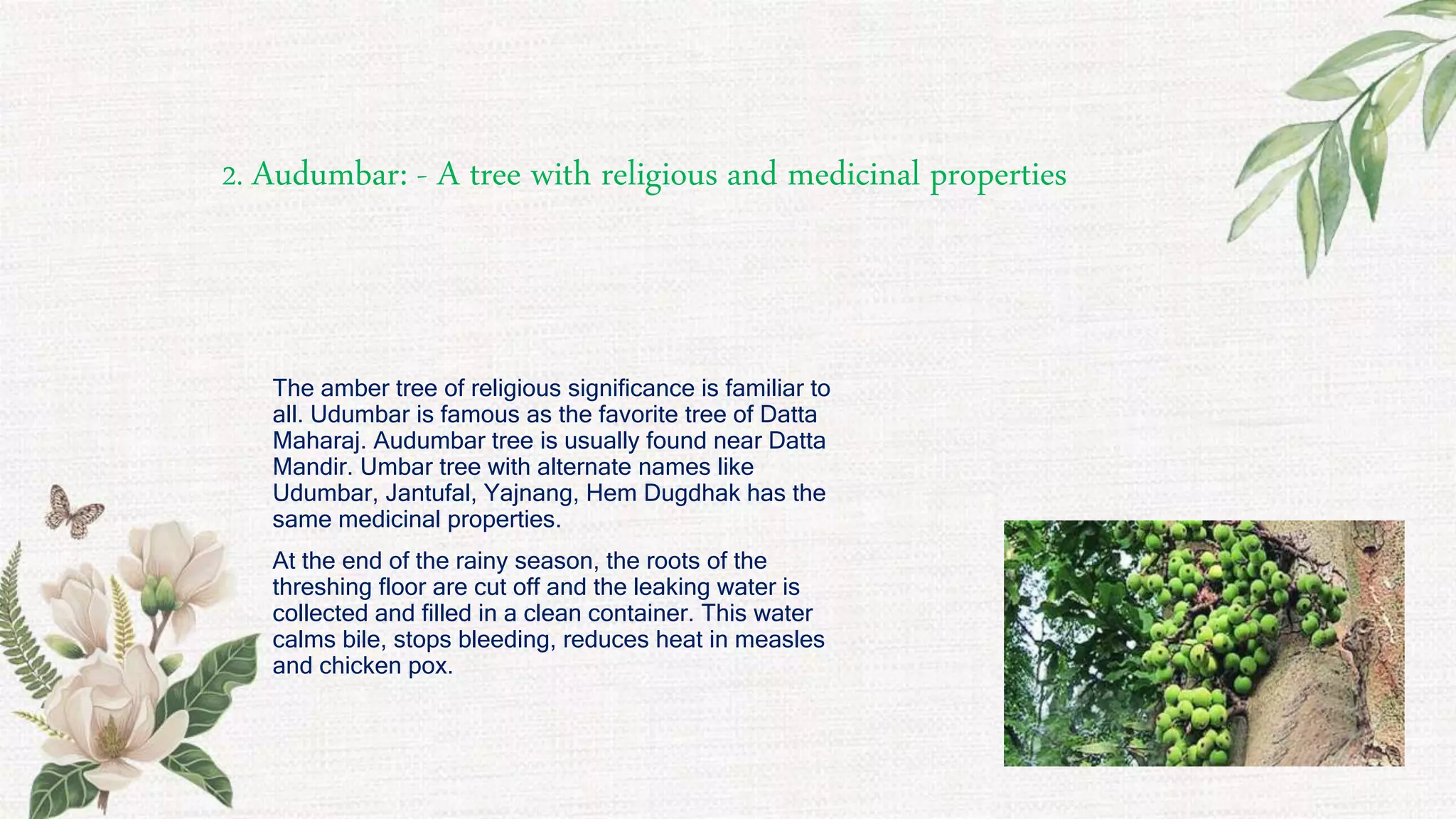 Plants a collaboration of art and nature - maharashtra today