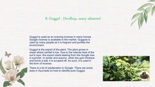 Plants a collaboration of art and nature - maharashtra today | PPTX