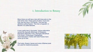 Plants a collaboration of art and nature - maharashtra today | PPT