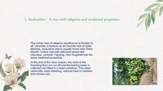 Plants a collaboration of art and nature - maharashtra today | PPT