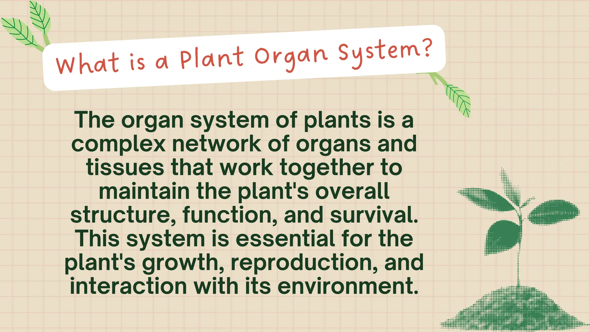 Plants-and-Their-Systems-Science-Presentation-in-Light-Brown-Light-Blue ...